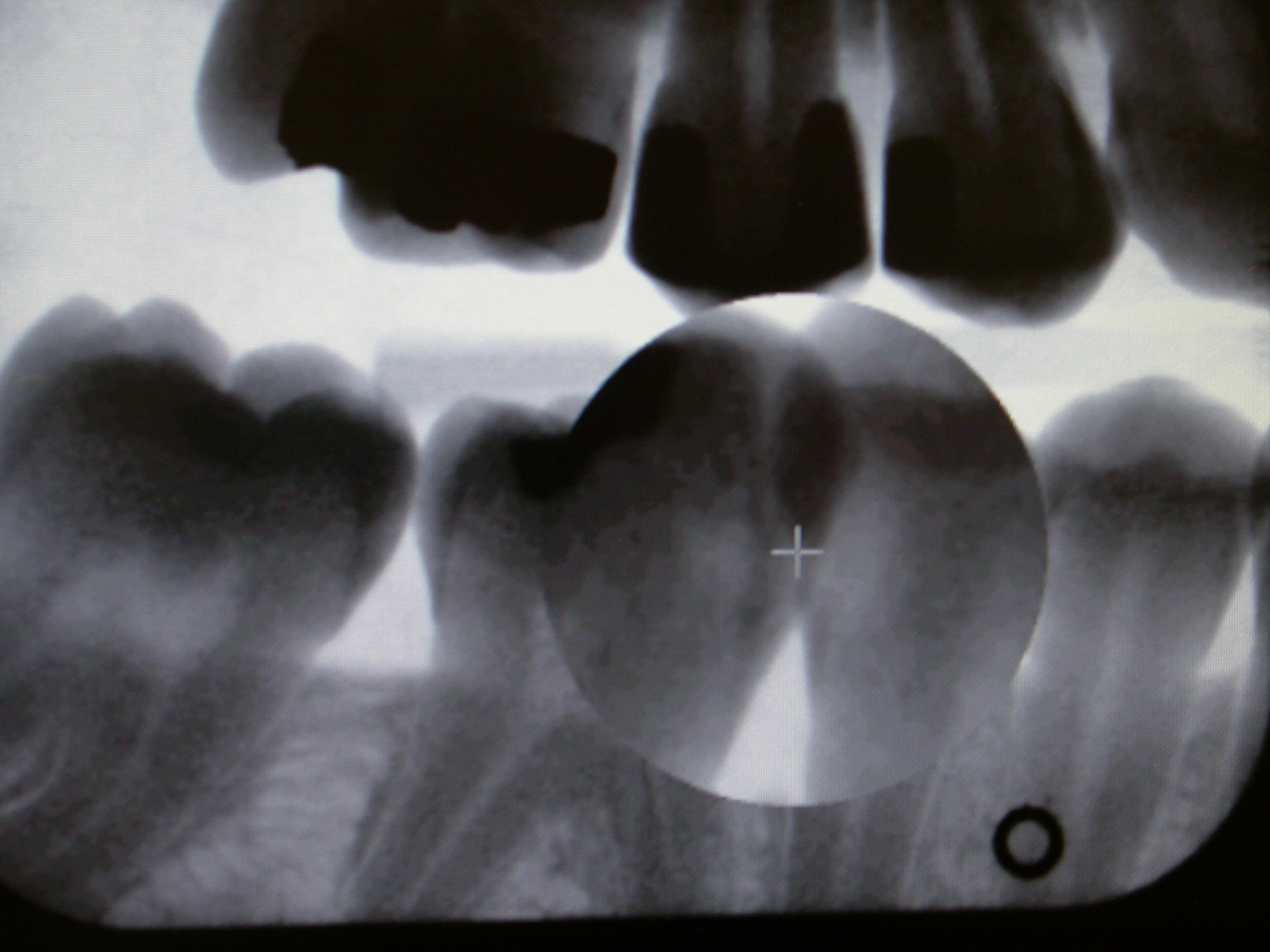 Tour the Office - Gilbert Smiles